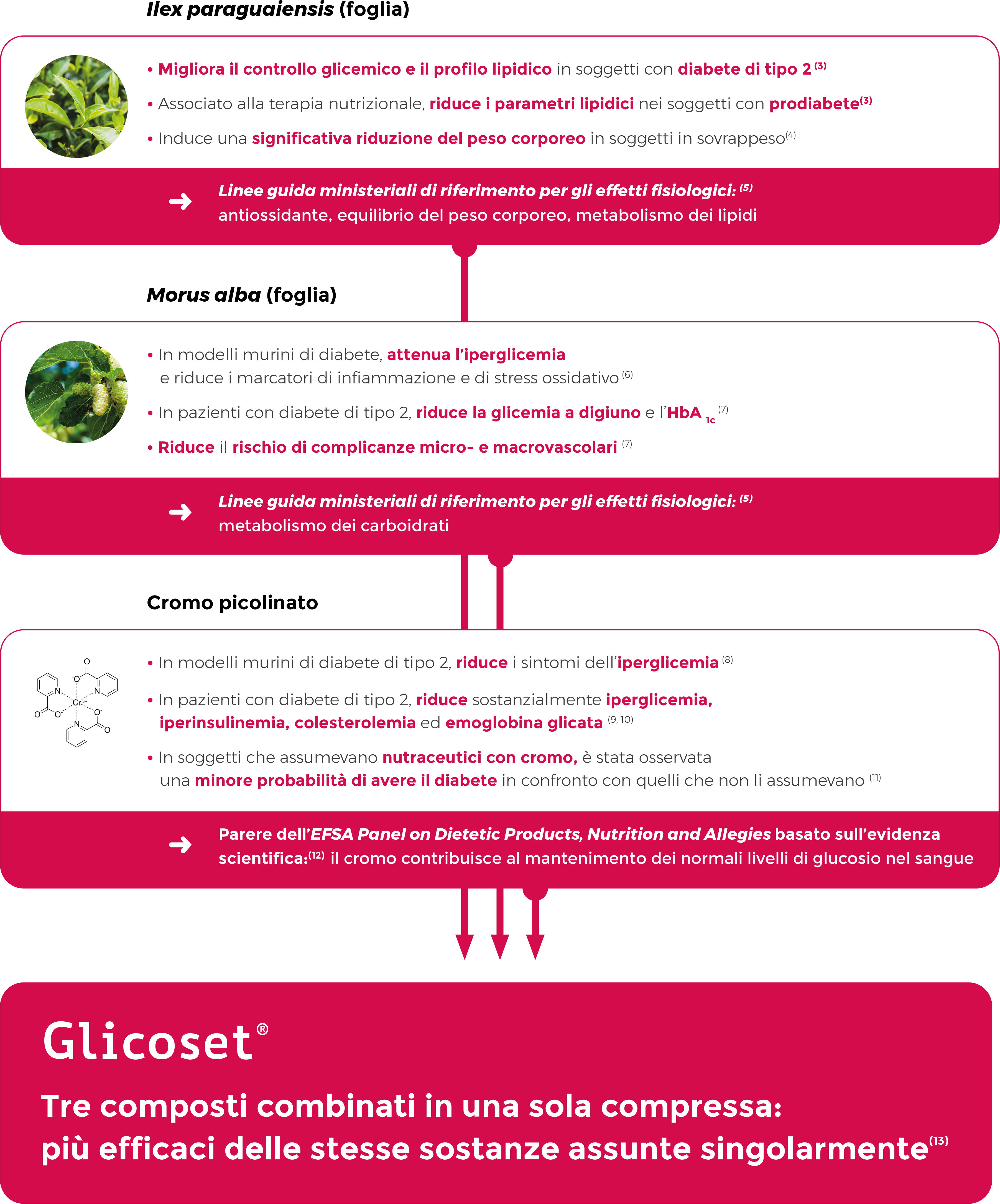 Glicoset – SPA – Società Prodotti Antibiotici